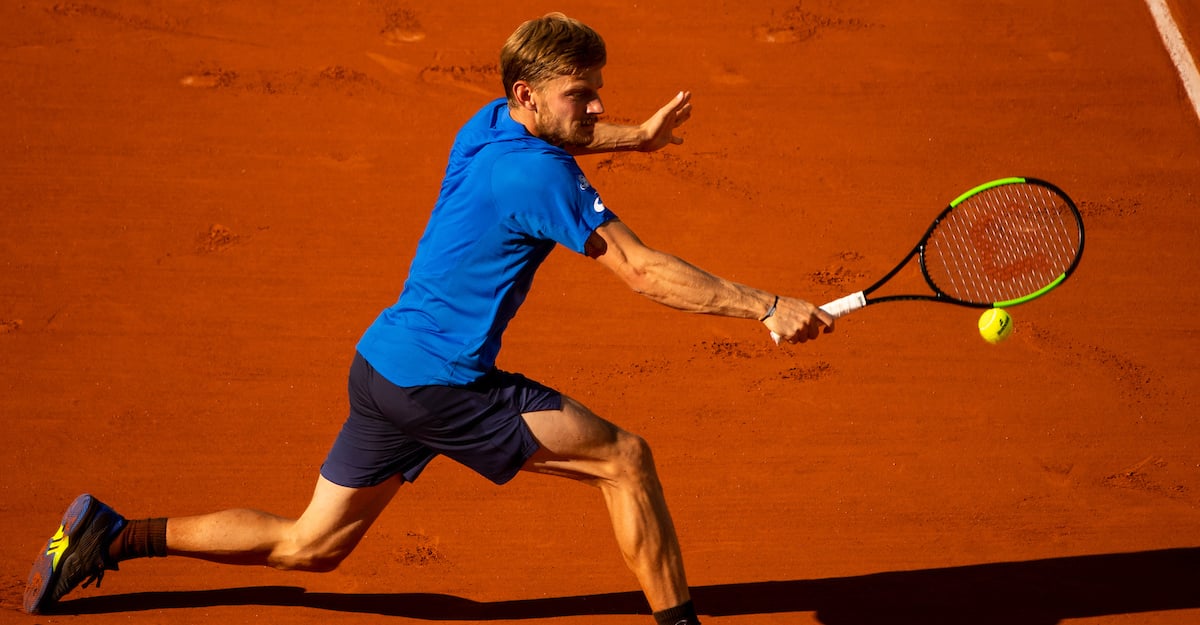 ‘I just have to work differently’ says David Goffin