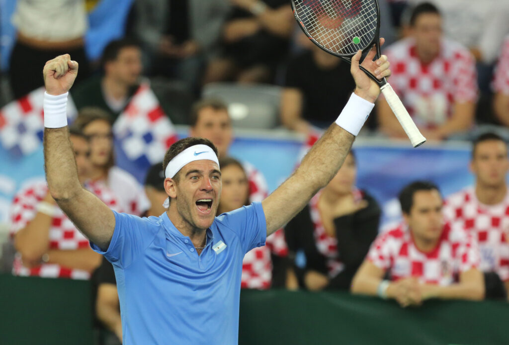 What Juan Martin del Potro said after rescuing Argentina in the Davis ...