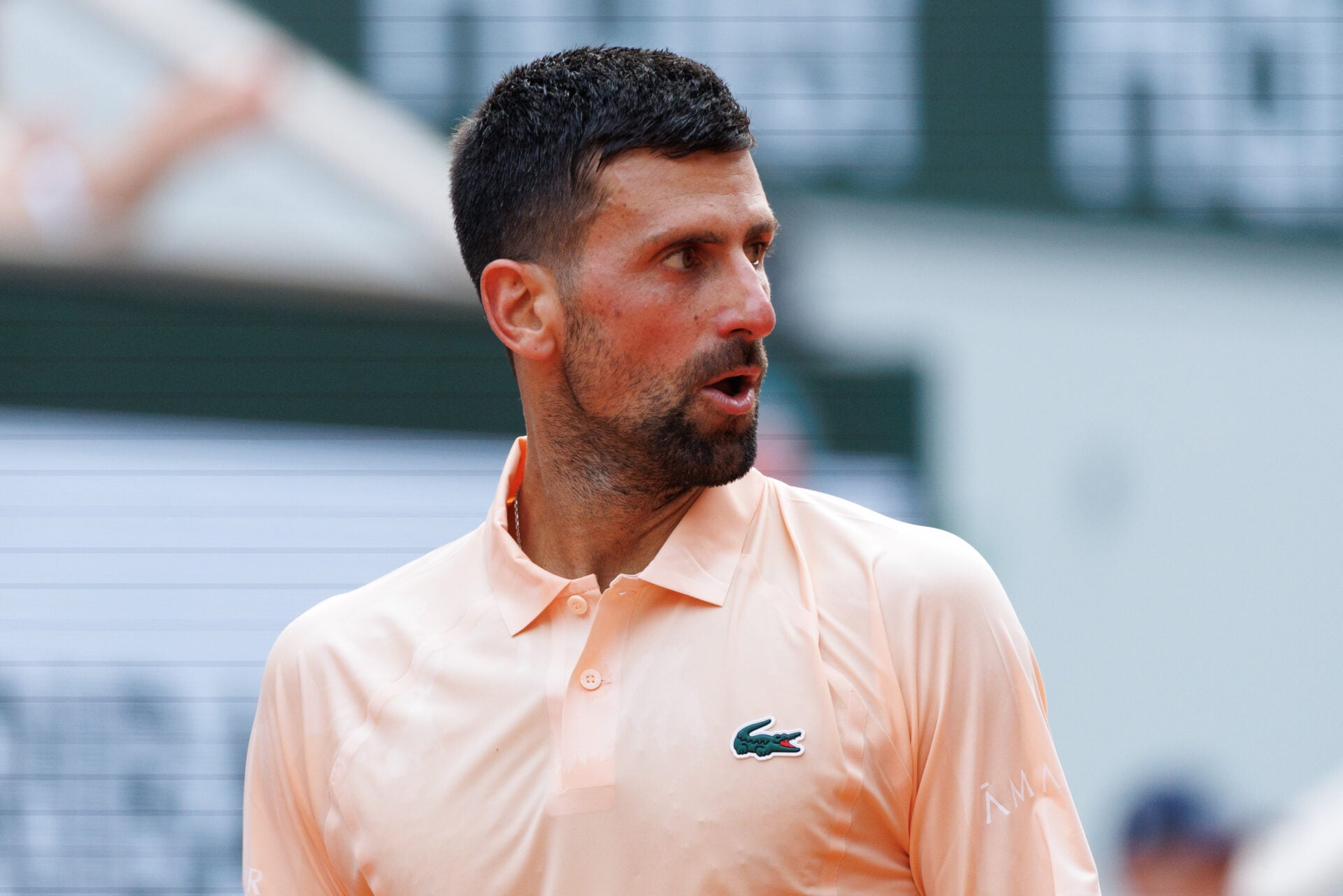 Novak Djokovic's new ranking confirmed ahead of Wimbledon and it's his ...